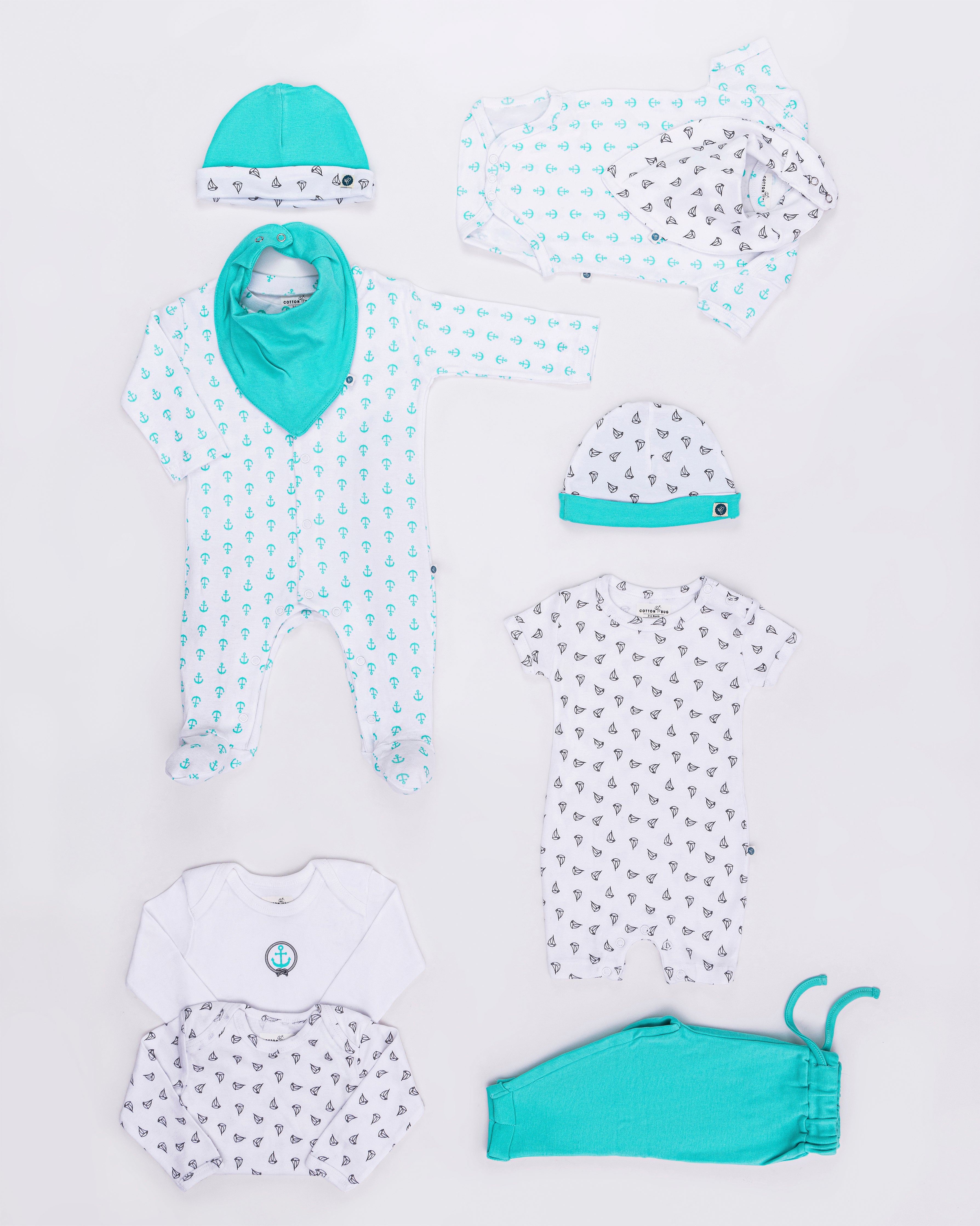 ANCHOR – Cotton Bug